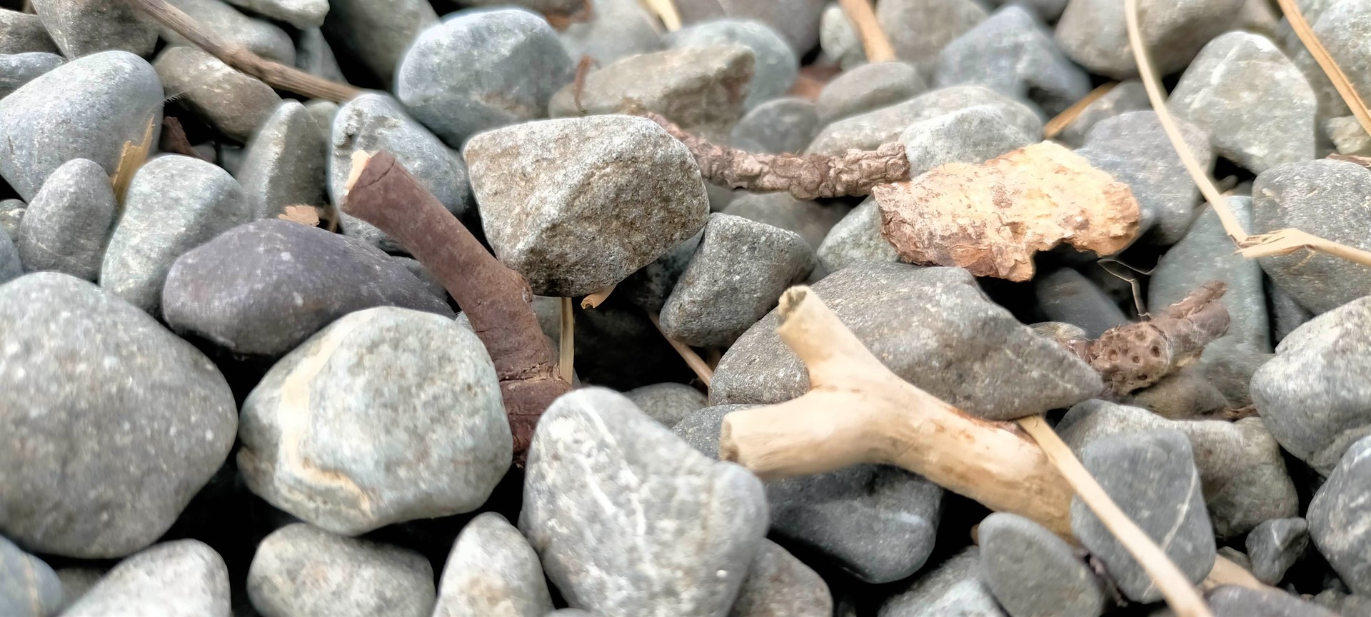 Sticks And Stones - How NLP Builds Resilience - Consoul NLP